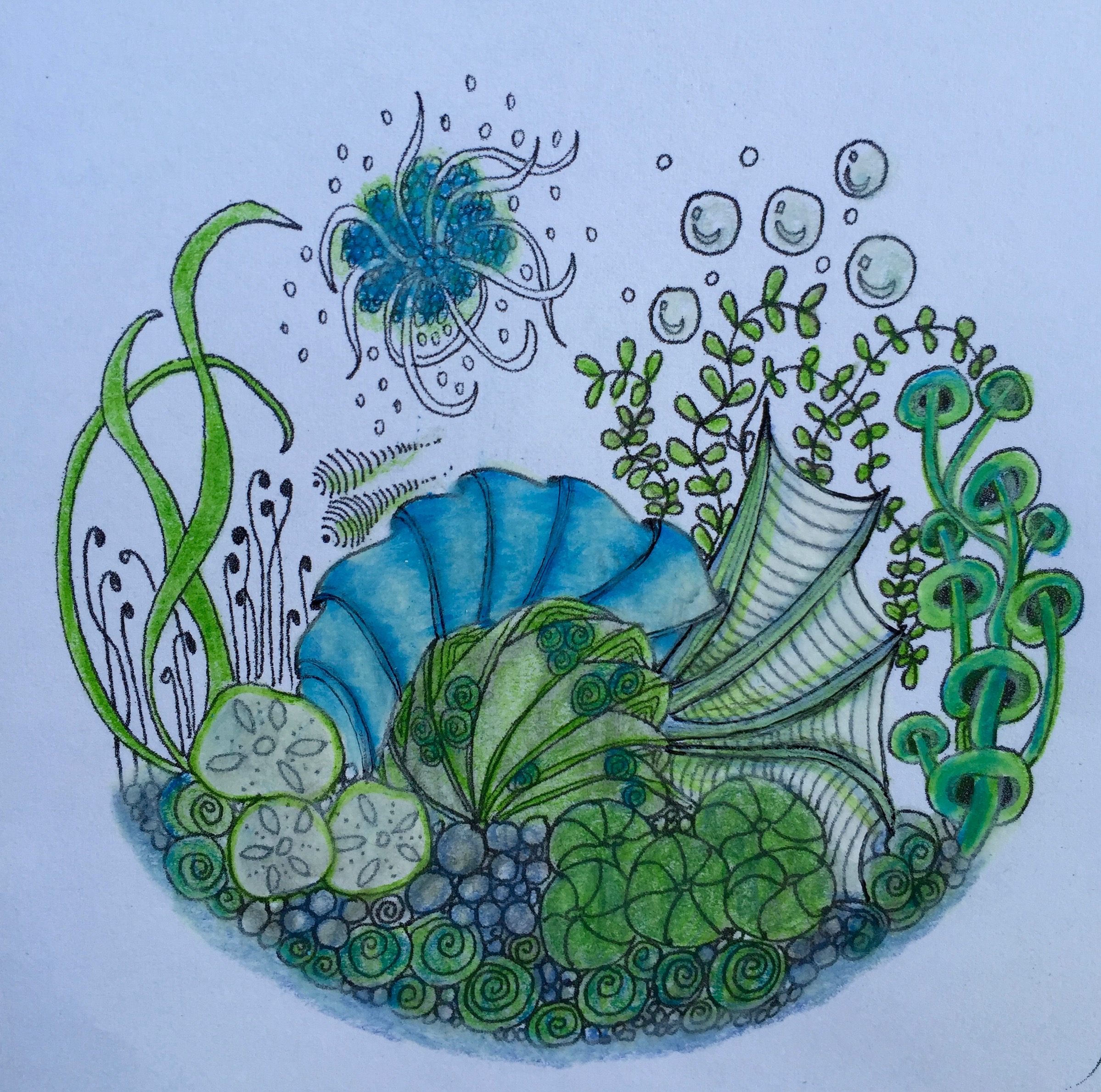 Class Descriptions/Sign-Up – TANGLES BY THE SEA