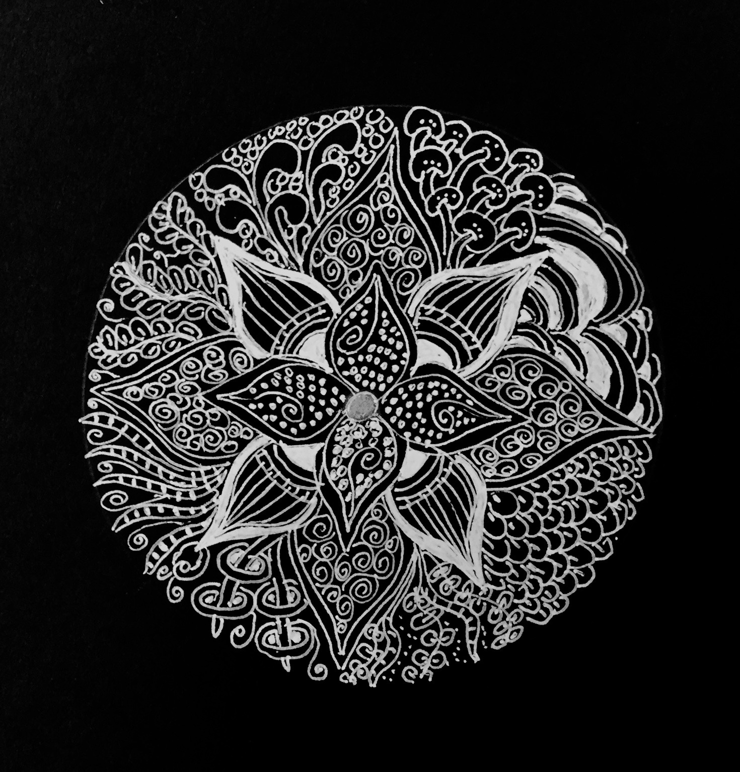 “White Ink on Black Paper” ….. – TANGLES BY THE SEA